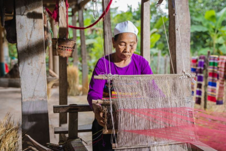 Discover the Magic of Lasée: A Comprehensive Guide - Times Radar